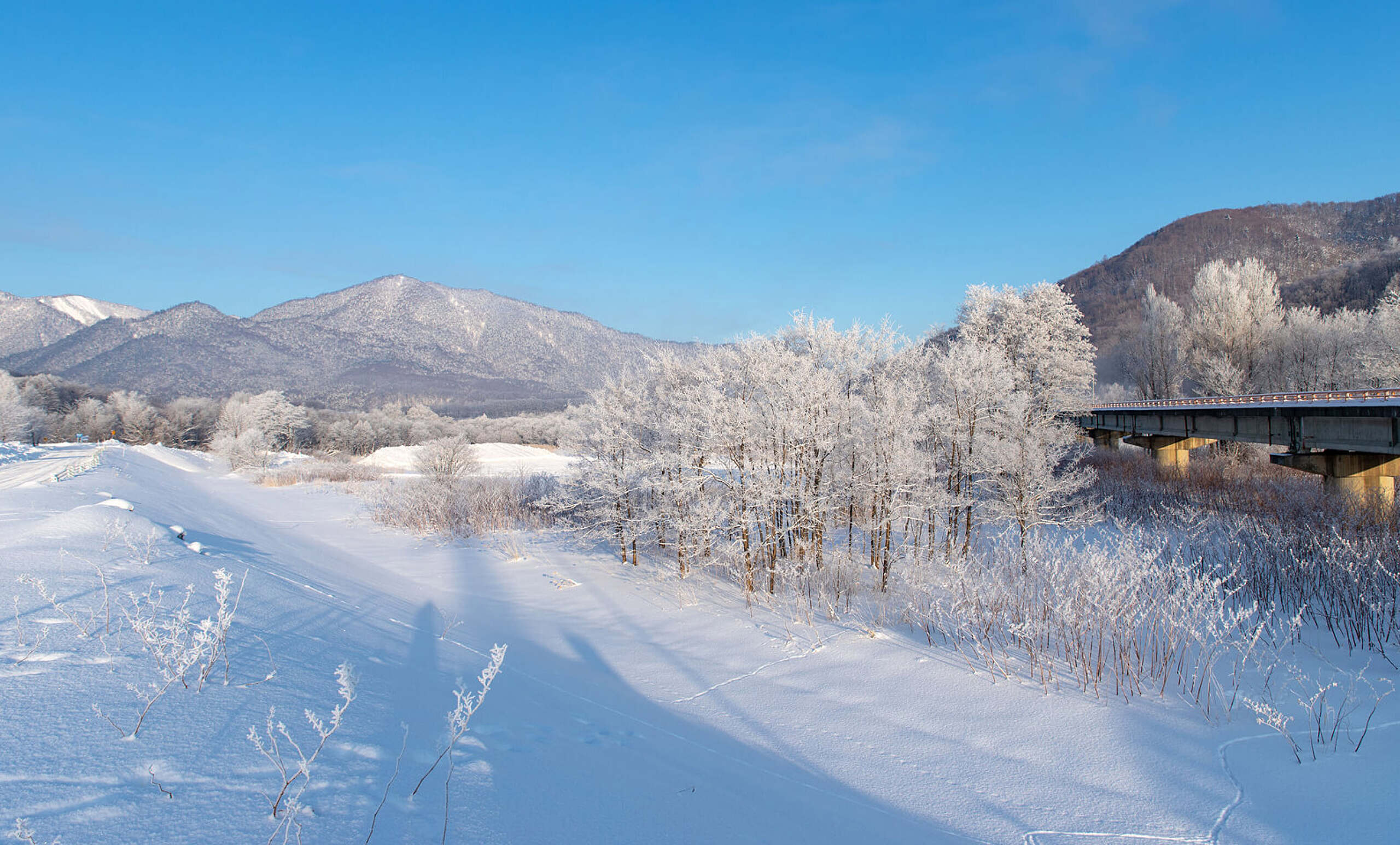 Why Furano is Japan’s Best-Kept Secret for Property… | H2 Christie’s