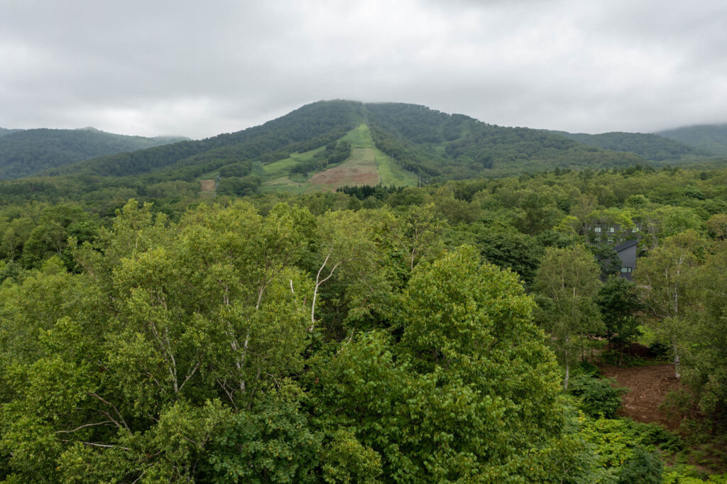 Niseko Moiwa Resort Development Land | H2 Christie’s